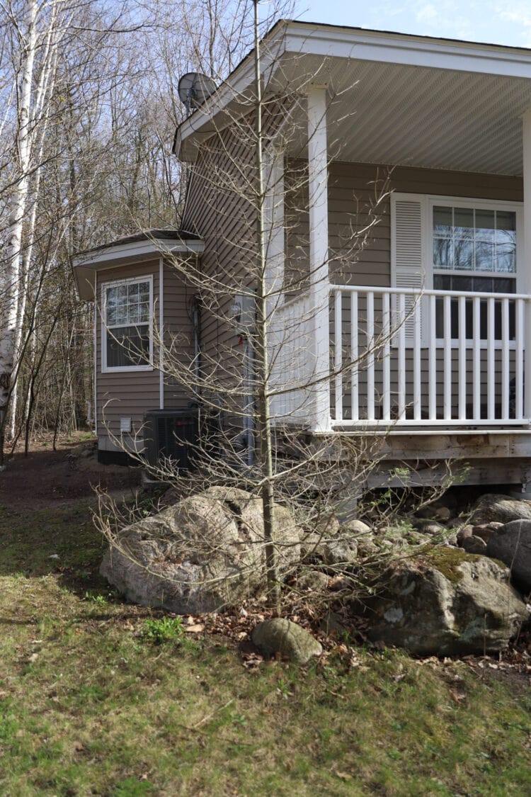 A First Look at the Cottage Basement Floor Plans, Budget, and Timeline ...